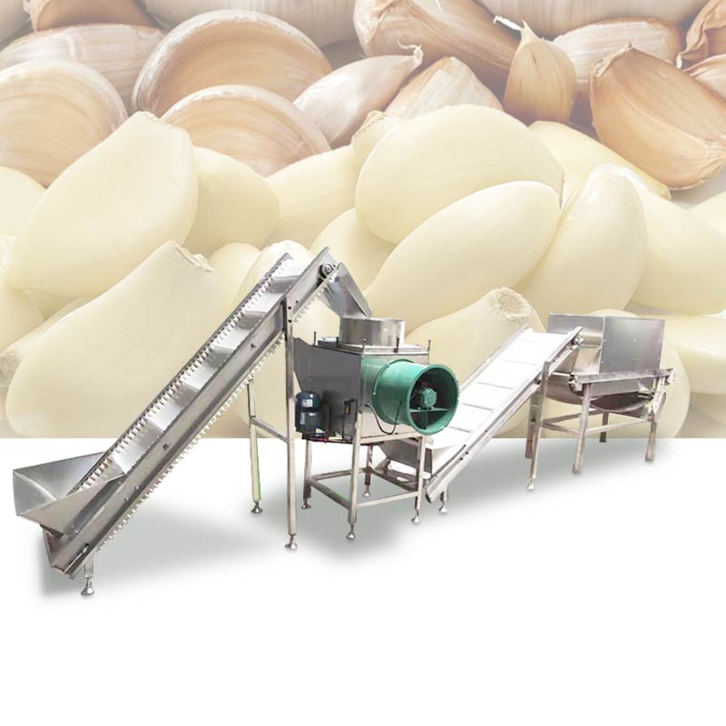 Gondor Automatic Garlic Peeling Production Line | Efficient Garlic Processing Solutions - Gondor ...
