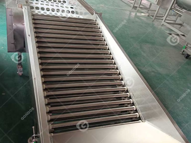 Automatic Fruit Sorting and Grading Machine - Gondor Machinery