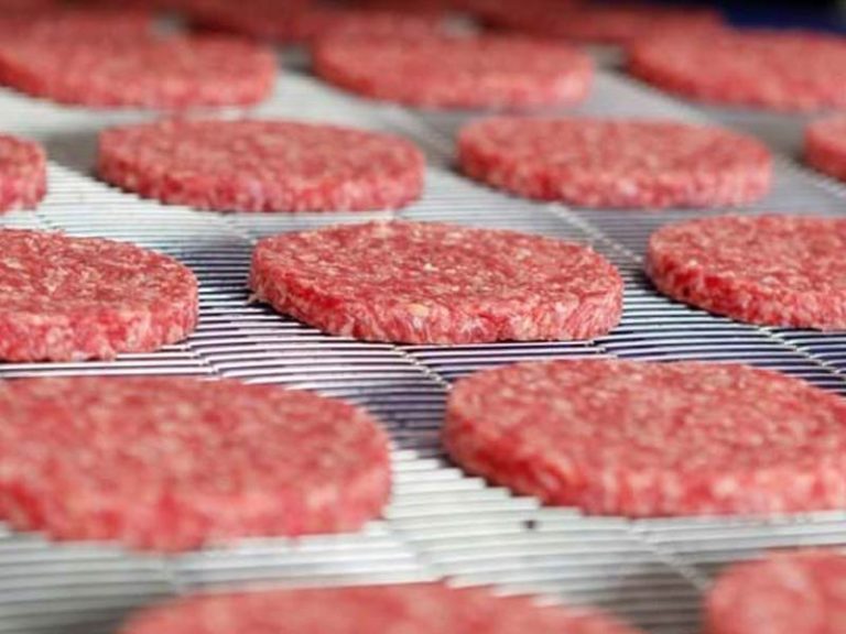 Automatic Hamburger Patty Forming Maker Machine - Gondor Machinery