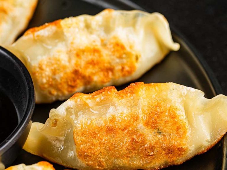 Gyoza Forming Making Machine - Gondor Machinery