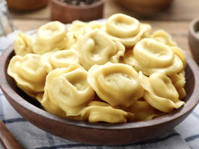 Commercial Dumpling Samosa Pierogi Machine - Gondor Machinery