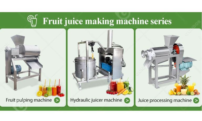 Fruit Pulping Making Machine - Gondor Machinery