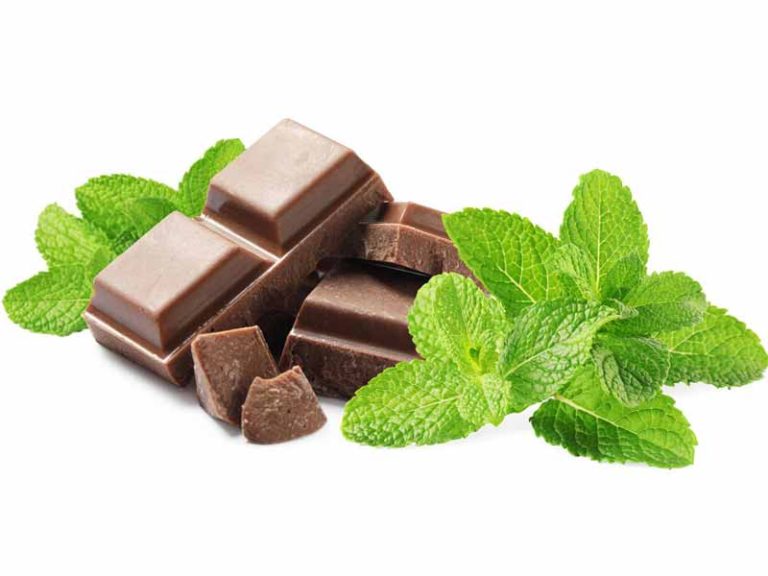 How to Make Milk Chocolate from Cocoa Beans: Step-by-Step Process ...