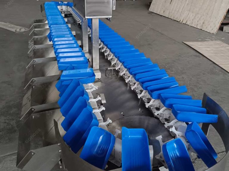 Weight Sorting Grading Machine - Gondor Machinery