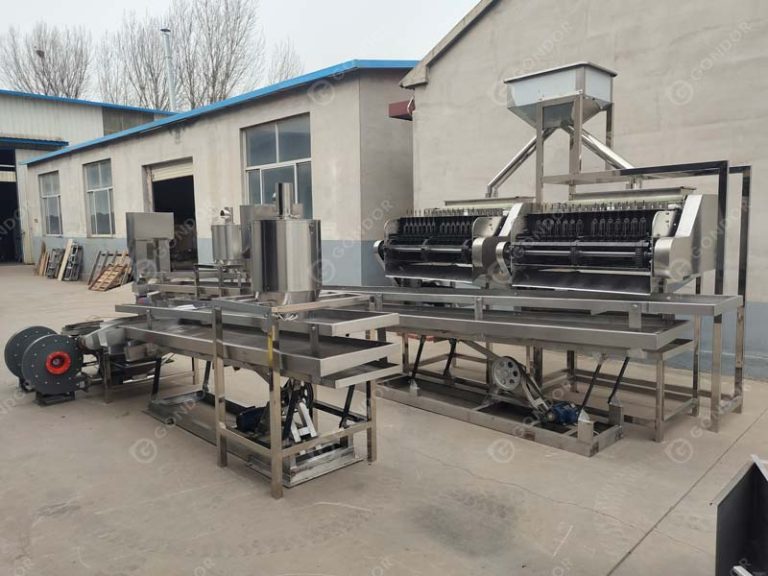 Cashew Nut Processing Line - Gondor Machinery