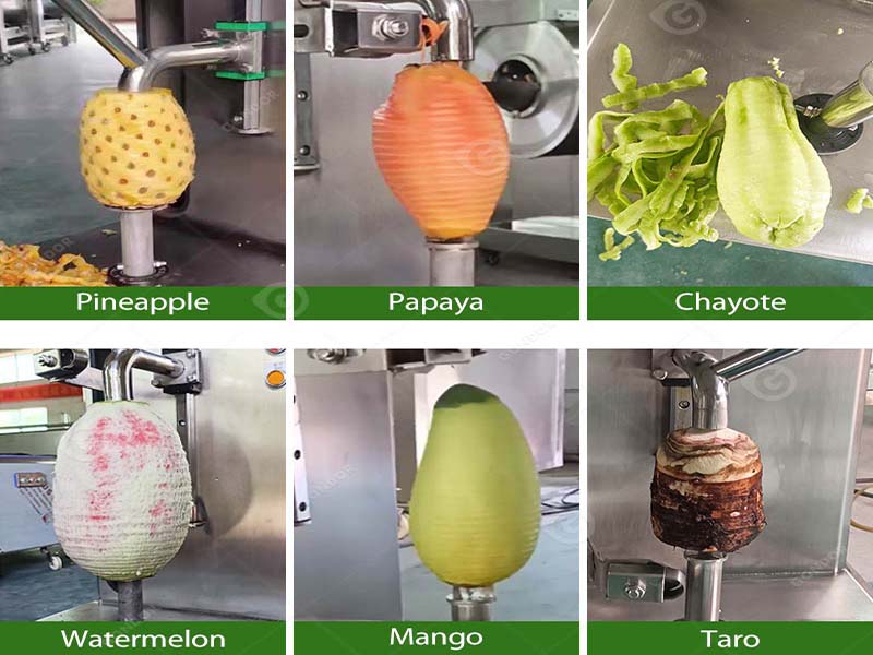 Pineapple Peeler Machine - Gondor Machinery
